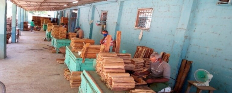 Comenzarán a vender madera en las tiendas en dólares en Cuba