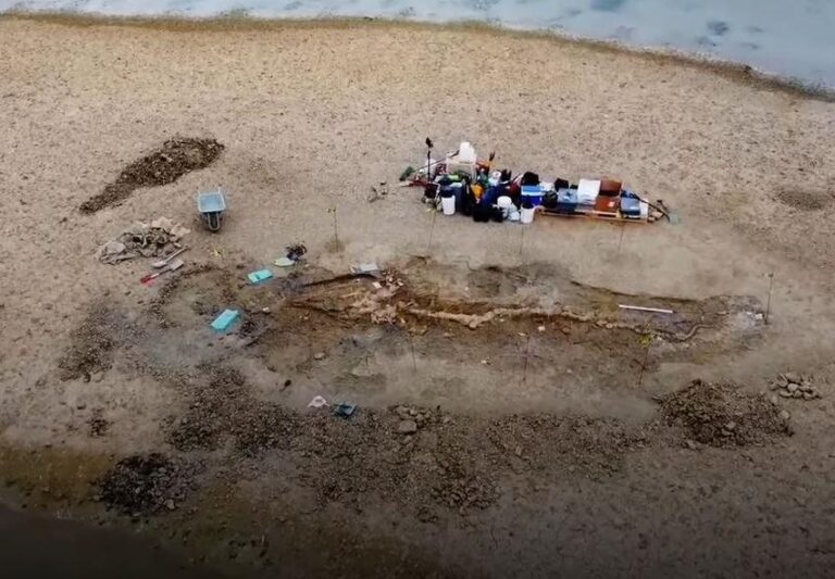 Encuentran fósil de dragón marino que habitaba la tierra hace 180 ...